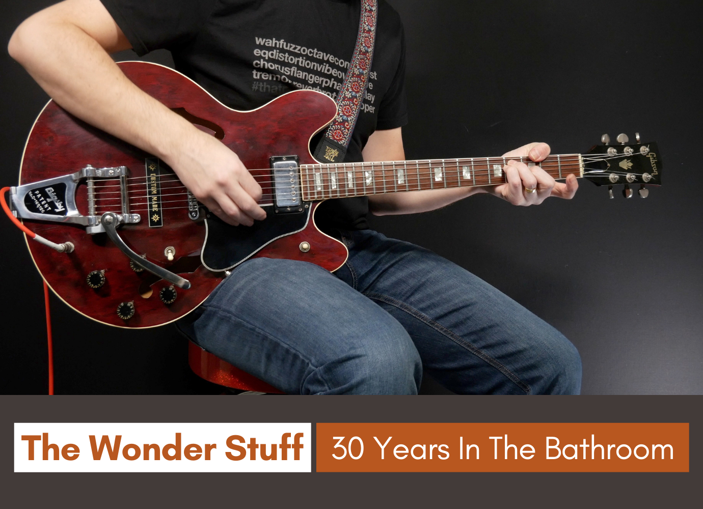 30 Years In The Bathroom – The Wonder Stuff - Sparky Guitar